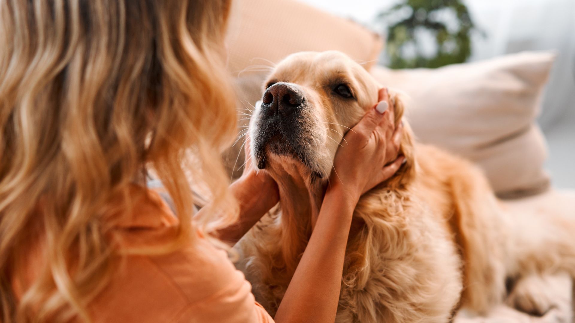 Man-Dog Friendship: an unbreakable bond - YUUP!