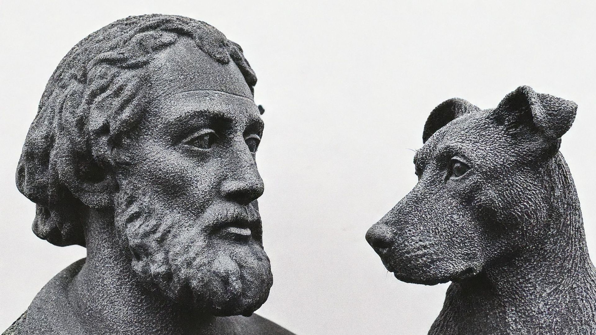 I filosofi e gli animali: qual è il rapporto tra uomo e animale? - YUUP!